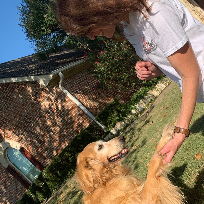 Paw2Paw Training | "Paw"sitive Dog Training